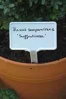 Medium Angled-Head Labels (Black) | The Essentials Company