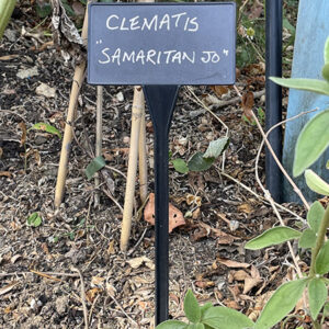 Medium Angled-Head Labels (Black) | The Essentials Company